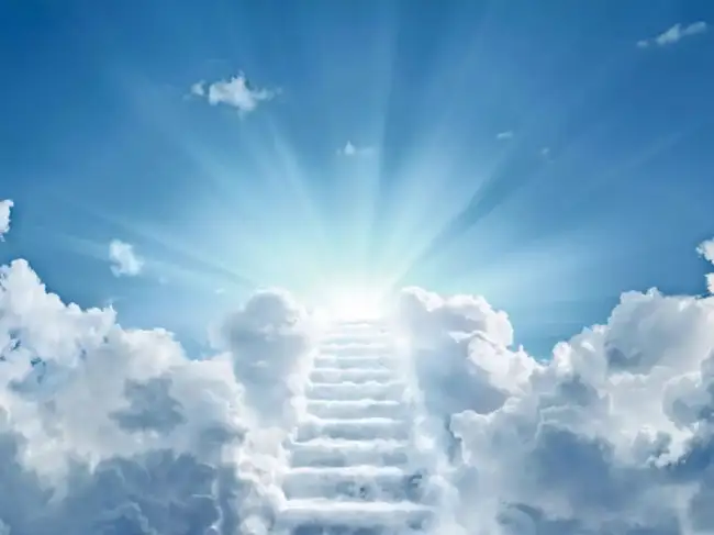 Why do we have an out-of-body experience before dying? - The Economic Times
