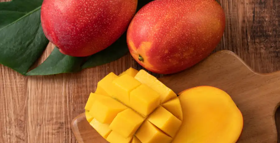 most expensive mango: Rs 19,000 per piece! Why this is the world's most ...