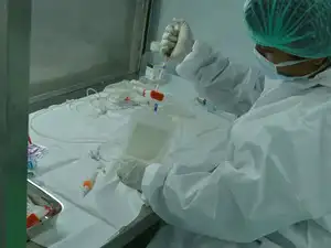 US-based StemCures to set up India's largest stem cell manufacturing ...