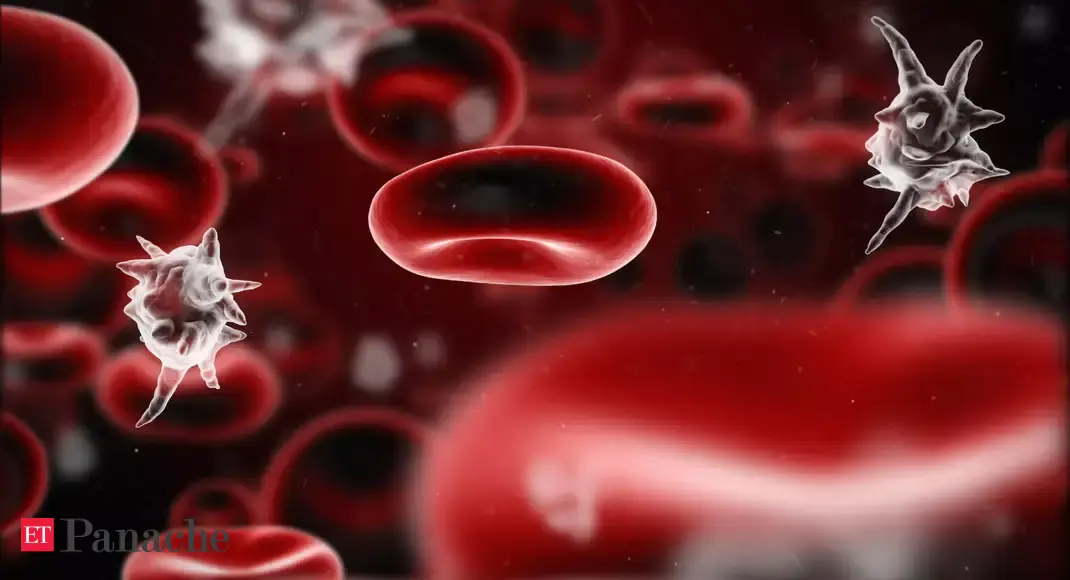 Disease X What Is Disease X WHO Health Experts Say It Can Be 