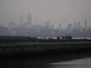 new york: Smog from Canada wildfires blankets New York - The Economic Times