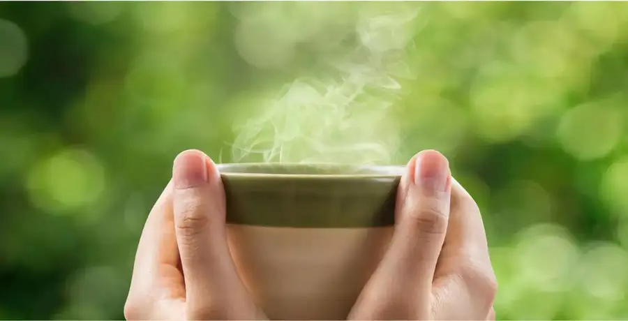 Herbal Tea: Tired Of Chronic Indigestion? 9 Herbal Teas That Will Ease ...