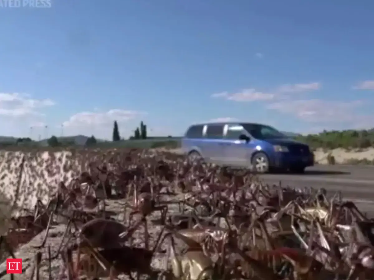 US: Nevada confronts invasion of blood-red crickets; watch! - The ...