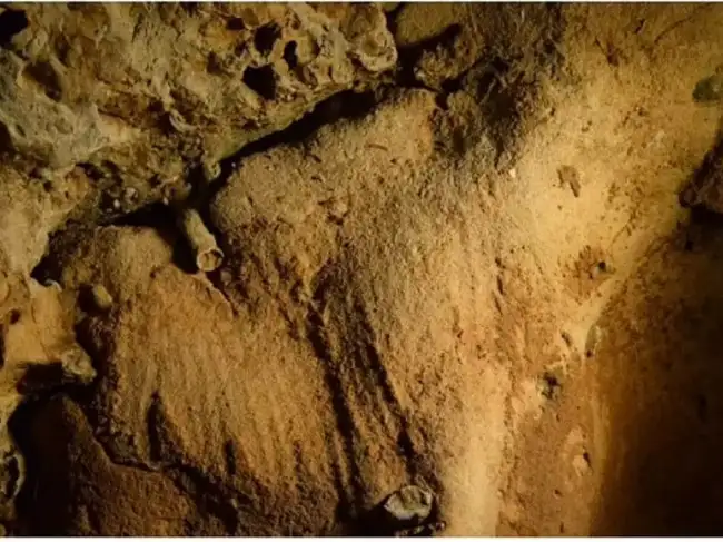 france: 57,000-yr-old engraving found at Loire Valley, France - The ...
