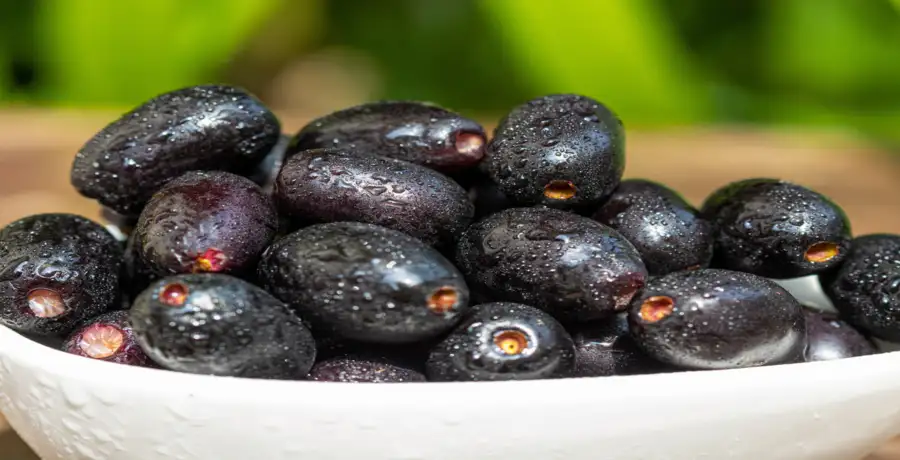 jamun fruit benefits: Weight loss, diabetes management and other ...