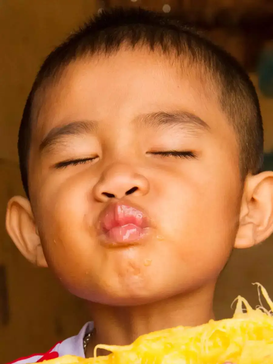 The Amazing World Of Mangoes: History, Culture and Variety | NewsPoint