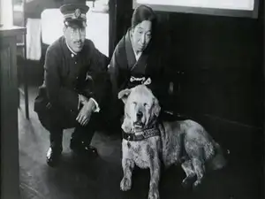 Hachiko: World's most loyal dog turns 100: Know heartwarming story of ...