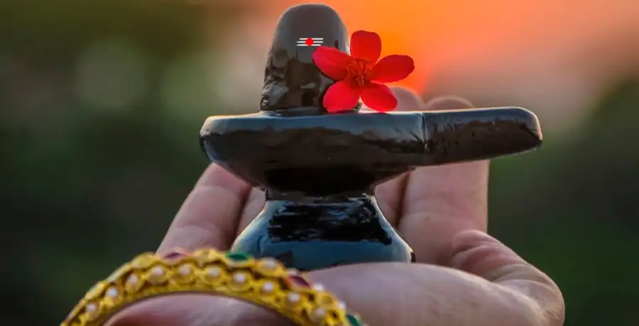 Expert tips for a healthy Sawan fast | EconomicTimes