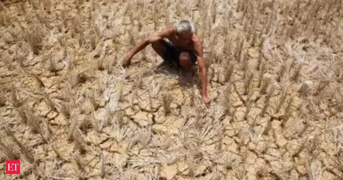 El Nino is here says WMO, warns of surge in global temperatures - The ... El Nino is here says WMO, warns of surge in global temperatures - The ...