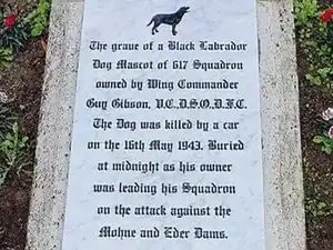 RAF Scampton: RAF Scampton Dambusters' Dog Grave controversy to take ...