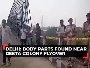 Delhi Murder News: Delhi police recovers chopped body parts of a woman ...