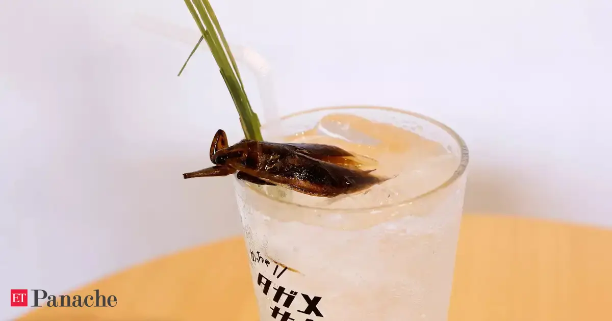 Insect cuisine returns to Japan: Silkworm sashimi, cricket curry & soy ...