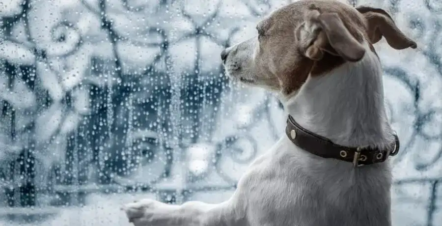 monsoon activity: Fun things to do at home in monsoon | EconomicTimes