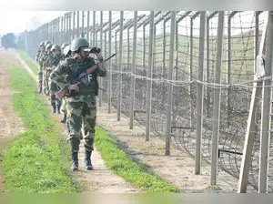 Landmine exploded near LoC in J&K's Poonch - The Economic Times