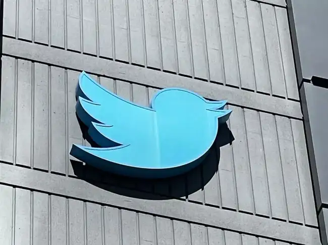twitter logo: Elon Musk to auction Twitter's iconic blue bird logo ...