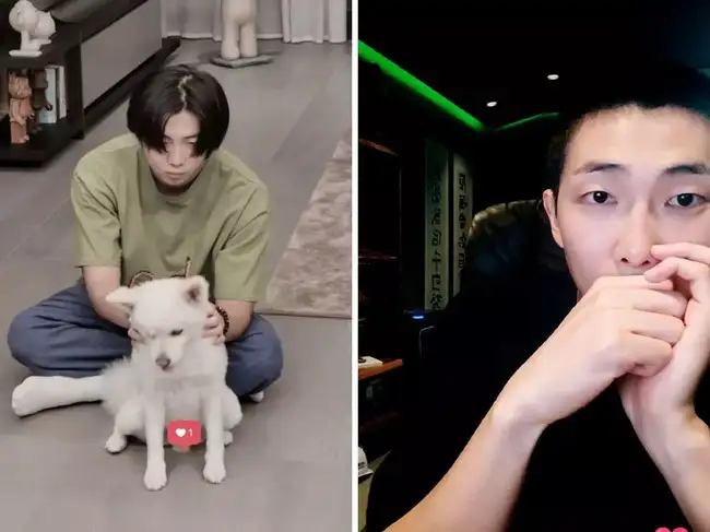 bts: BTS RM shares the loss of his pet dog Moni with ARMY, reveals he ...