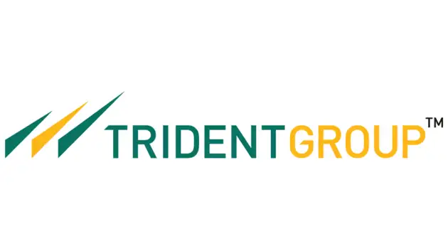 Volume Updates: Trident Ltd Surges as Top Gainer with Impressive ...