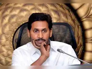 andhra pradesh: Andhra Pradesh CM lays foundation for three renewable energy projects worth over ...