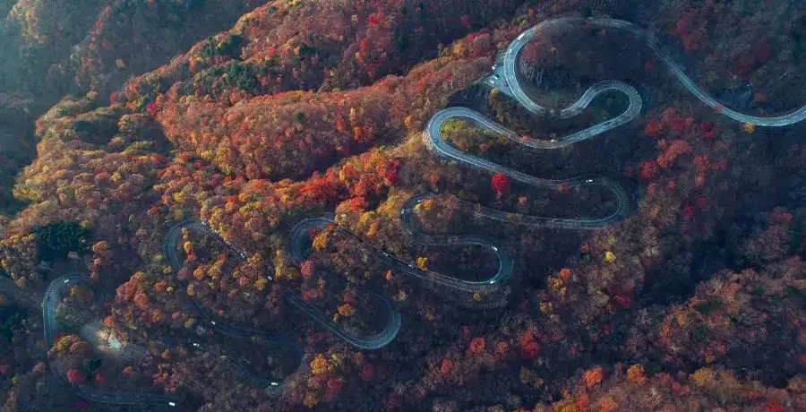 Largest road networks in the world: India among top countries ...