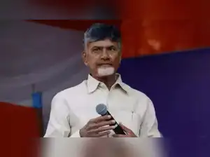 naidu: Decoding the Rs 370 crore skill development scam; What was former Andhra Pradesh CM N ...