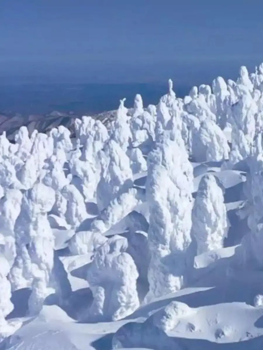 Mount Zao's Curiosities: Delving Into Its Unique Features | NewsPoint