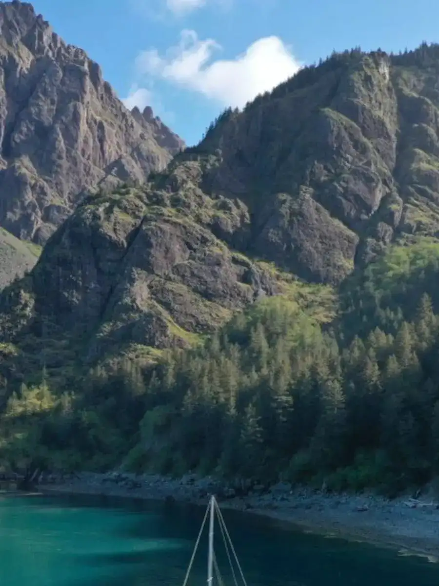 Discovering The Hidden Wonders Of Resurrection Bay, Alaska | NewsPoint