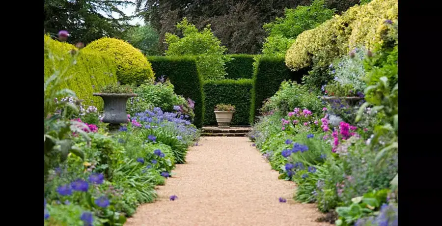 10 beautiful plants to use as walkway borders | EconomicTimes