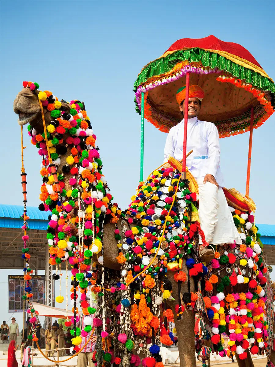 Planning a trip this festive season? 5 budget-friendly holiday ideas ...