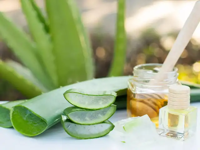 Faster wound healing: Expert tips and techniques - Protect your wound ...