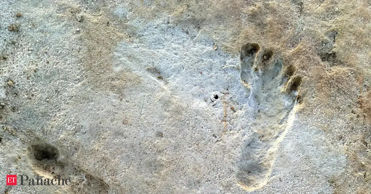 21,000-yr-old Footprints in New Mexico may be the oldest evidence of ...