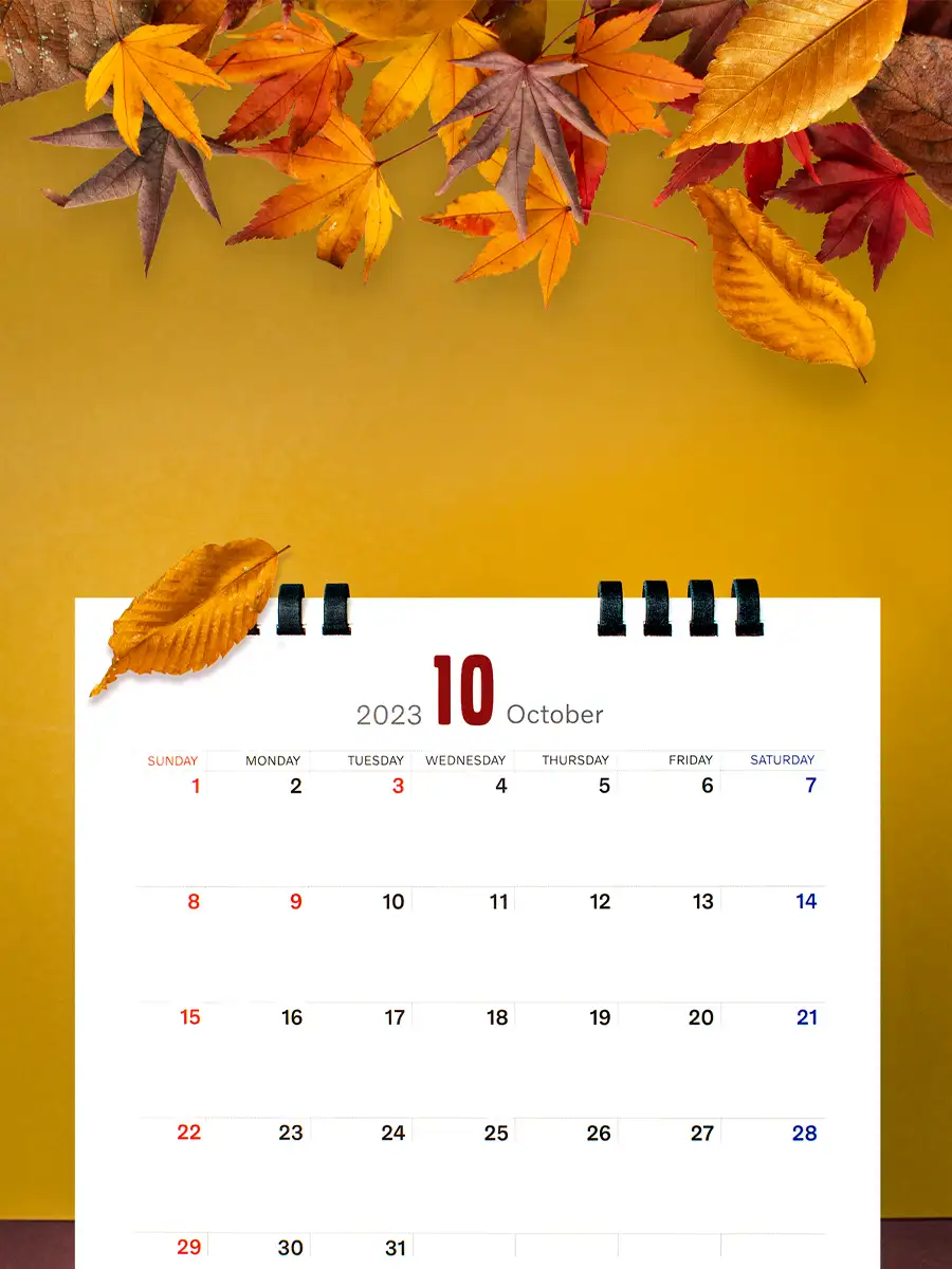 FD interest rates: These 9 banks have revised fixed deposit interest ...