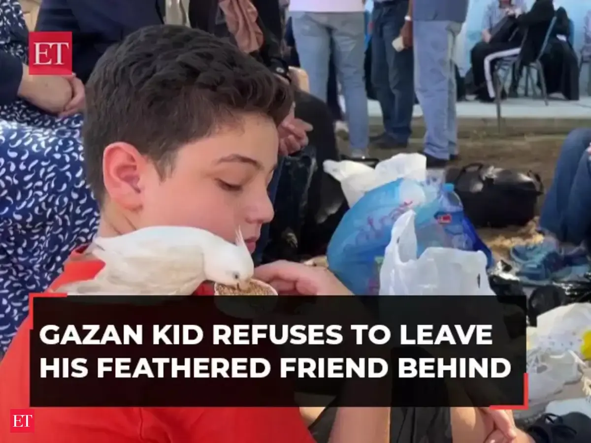 'Leave North Gaza' warning: 13-year-old Gazan refuses to leave his ...