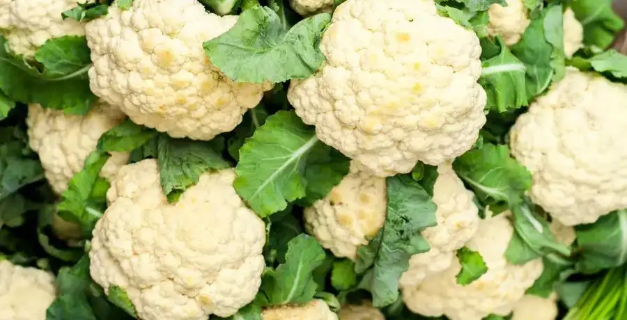 Popular Indian vegetables and their benefits | EconomicTimes