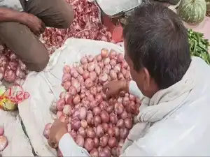 consumer affairs: Onion prices soar in multiple parts of country; buyers request further govt ...