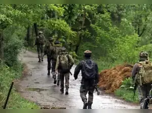 3 Army personnel injured in LoC landmine explosion - The Economic Times