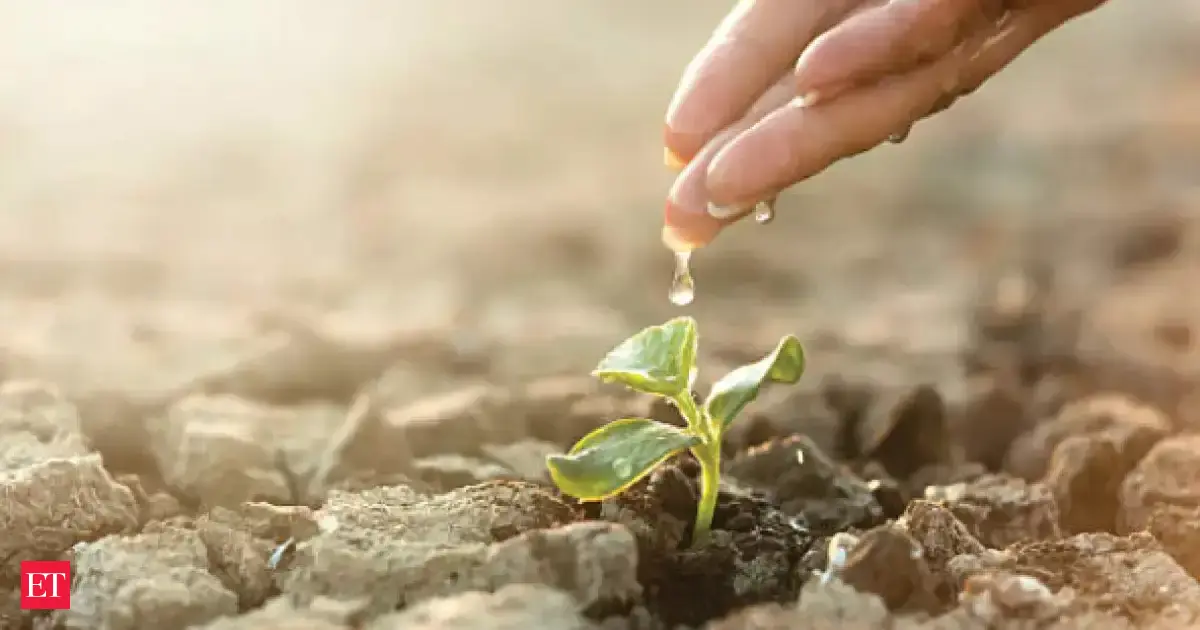 green farming: India's farmers wrestle with shift to eco-friendly ...