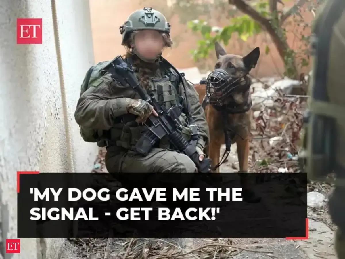Israel-Hamas War: How dogs helped IDF troops uncover explosive devices ...
