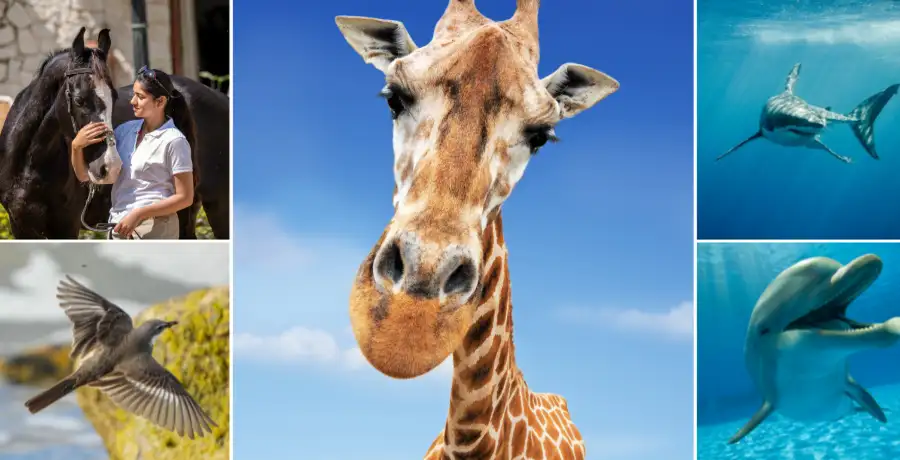 Eight animals who never sleep | EconomicTimes