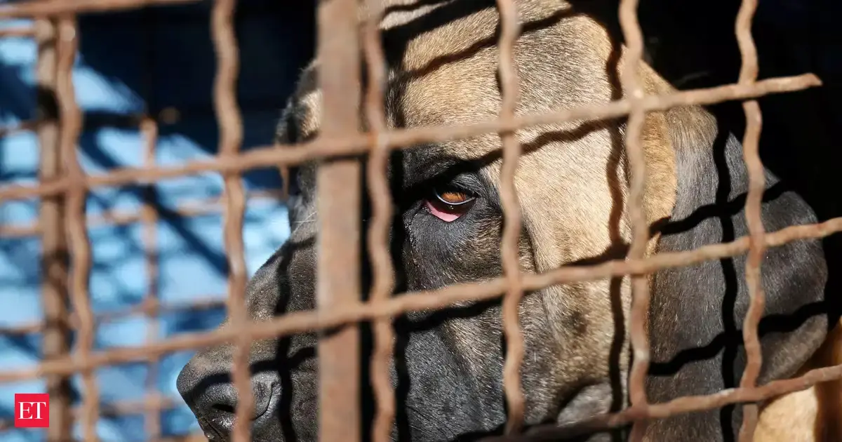 dog meat ban: South Korea parliament passes bill banning dog meat trade ...