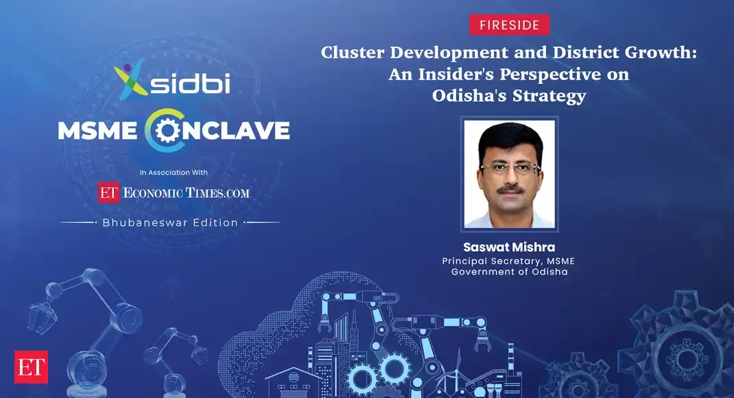 Cluster Development and District Growth: An Insider's Perspective on ...
