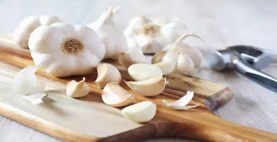 Ways to use garlic for weight loss | EconomicTimes