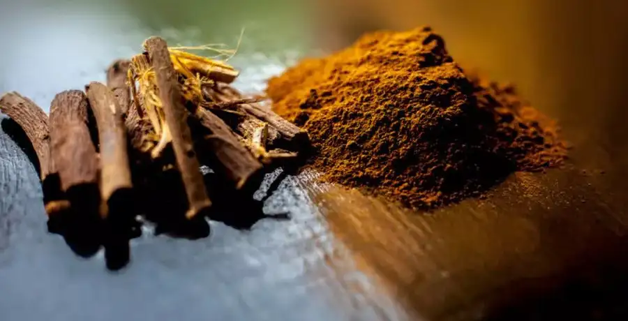 Revand Chini: Know about this rare herb with potential health benefits ...