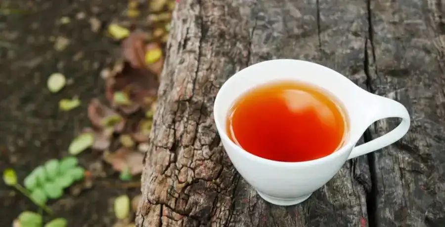 How to make giloy tea for maximum health benefits? | EconomicTimes
