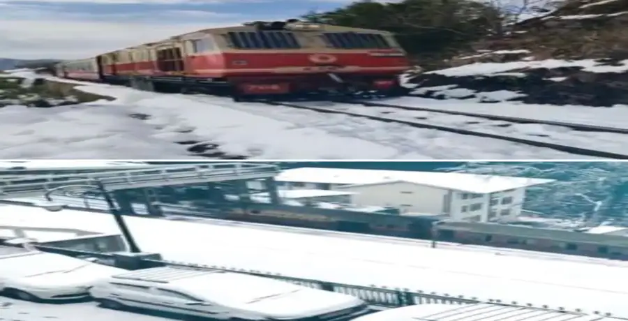 Shimla snowfall: Amidst snowfall, Kalka-Shimla train delivers magical ...