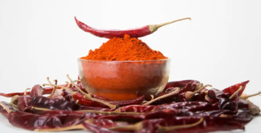 National Chilli Day 2024: Spiciest chillis in India | EconomicTimes