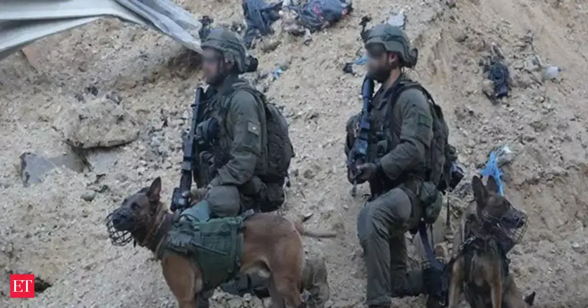 Gaza aid chaos: Injured survivors of Gaza aid chaos say Israeli forces ...