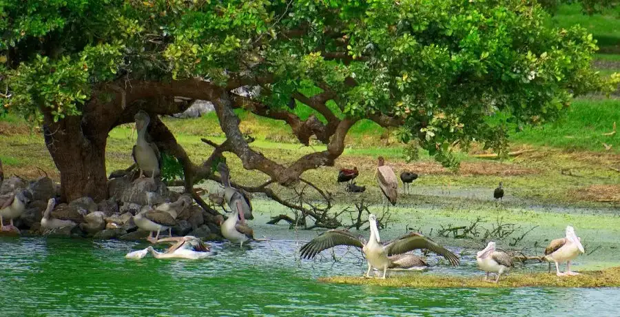 Beautiful places to visit in Jamnagar | EconomicTimes