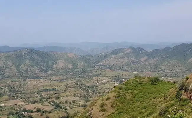 With strawberry and flower cultivation, parched Aravali in Rajasthan is ...