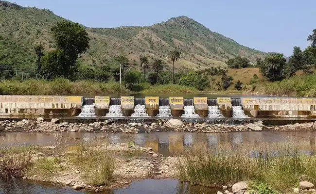 With strawberry and flower cultivation, parched Aravali in Rajasthan is ...