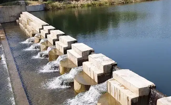 With strawberry and flower cultivation, parched Aravali in Rajasthan is ...